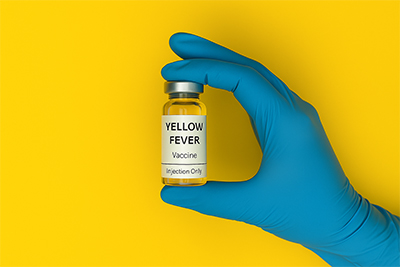Yellow Fever Vaccination Now Available - Sandy Hill Medical Centre ...
